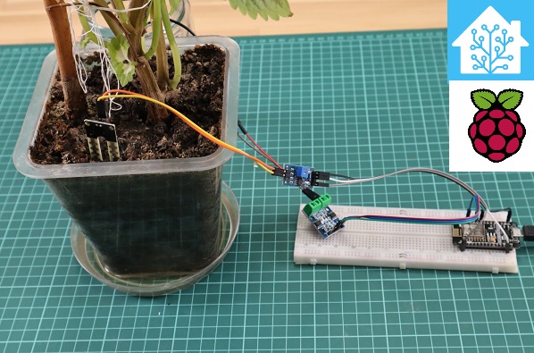 Home Assistant ile Bitki Sulama Sistemi - Robolink Akademi